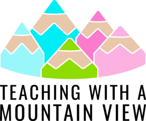 Error Analysis | Conceptual vs. Computation Errors | TWAMV