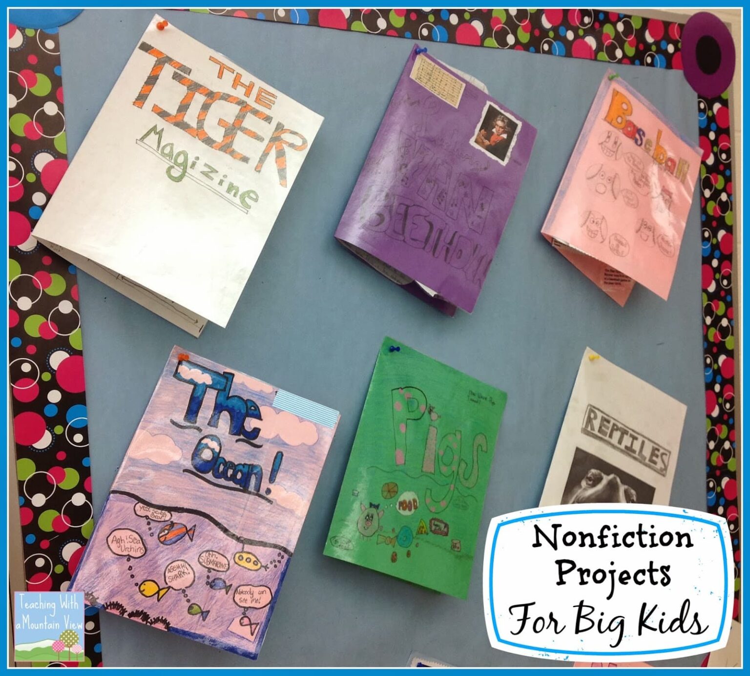 Informational Text Structures & Features Cumulative Assignment ...