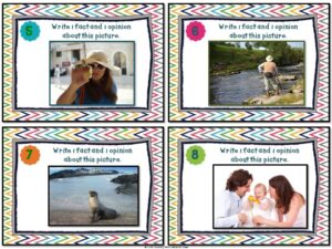Fact and Opinion Task Cards - Teaching with a Mountain View