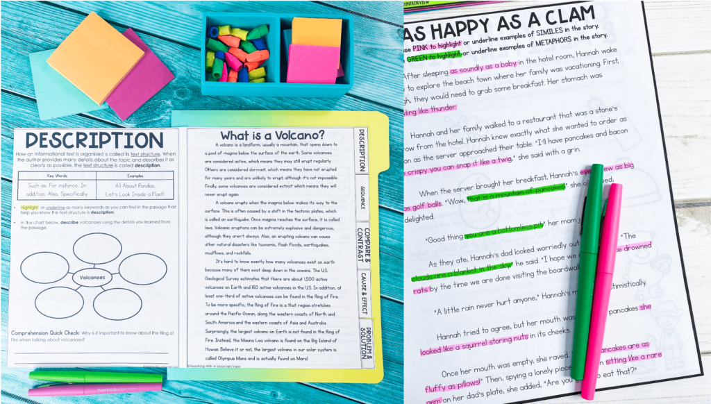 Reading and Literacy Flip Book MEGA Bundle - Teaching with a Mountain View