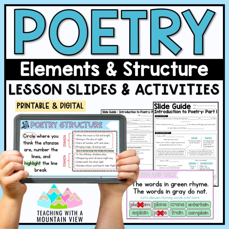 Homepage - Teaching with a Mountain View